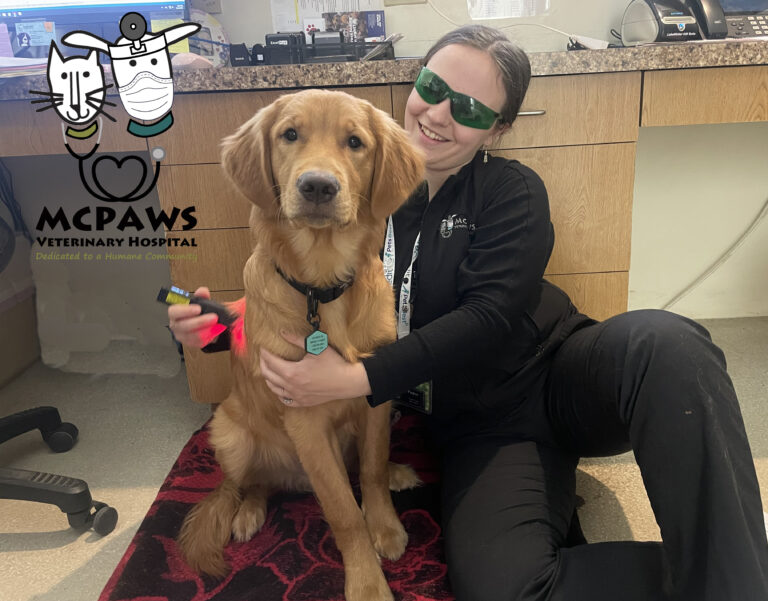 Hospital - MCPAWS Regional Animal Shelter